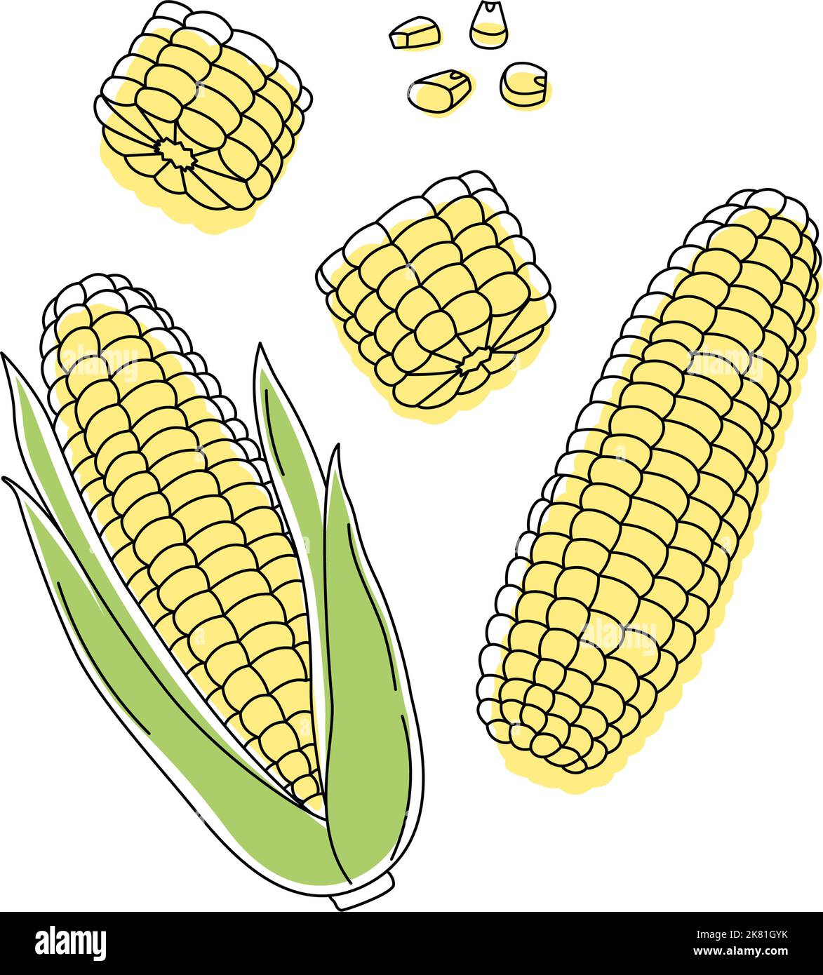 Doodle outline set whole, pieces and grains corn with spot. Vector hand ...