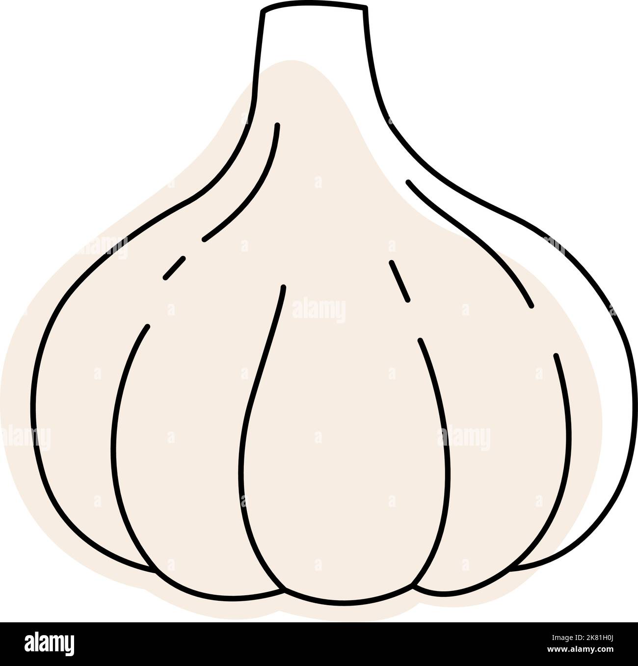Doodle outline garlic with spot. Vector hand-drawn illustration for ...