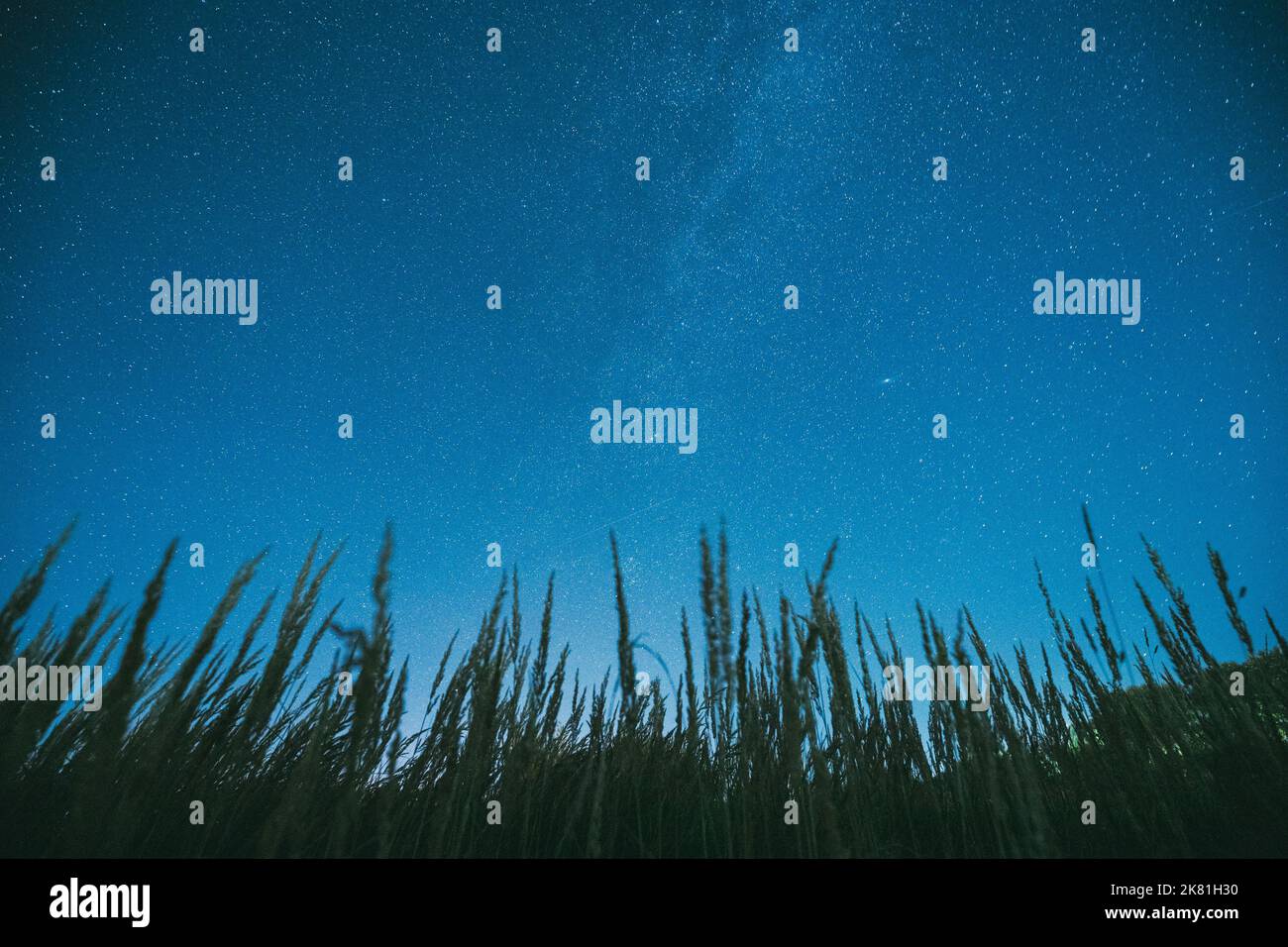 August month hi-res stock photography and images - Alamy