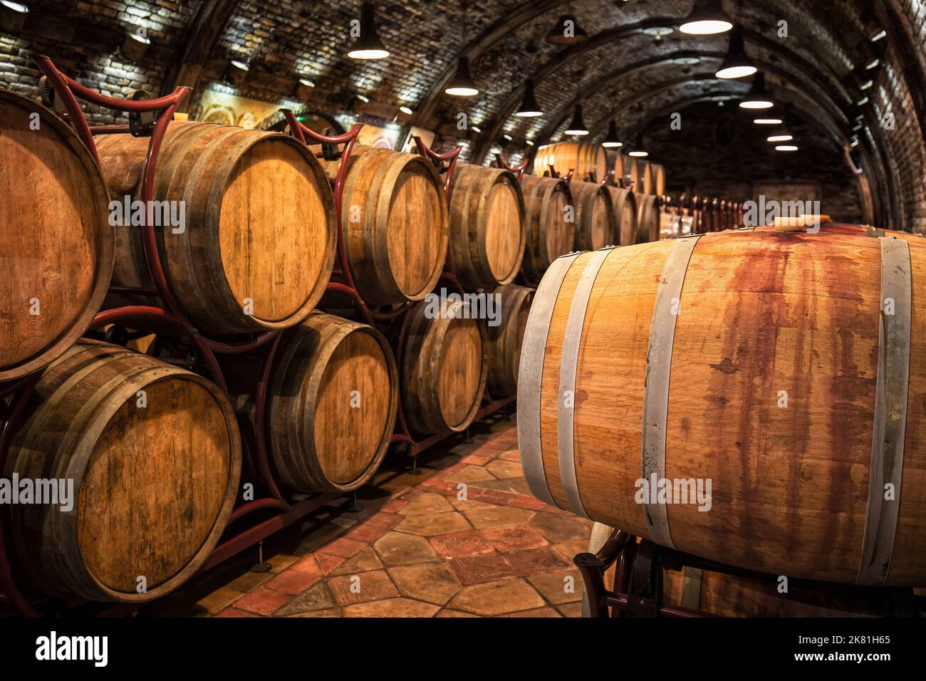 Wine barrels in wine-vaults in order Stock Photo - Alamy