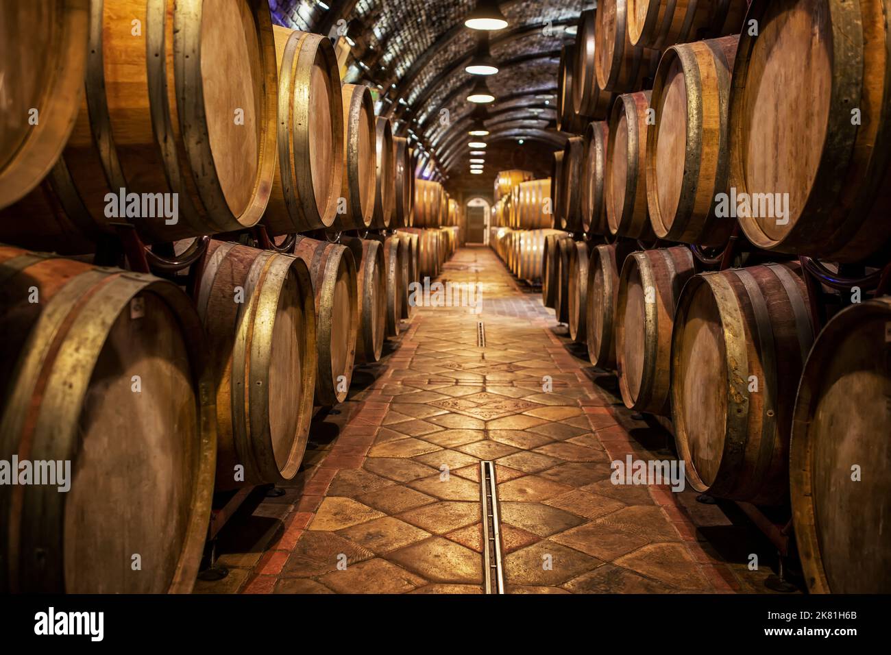 Wine barrels in wine-vaults in order Stock Photo - Alamy