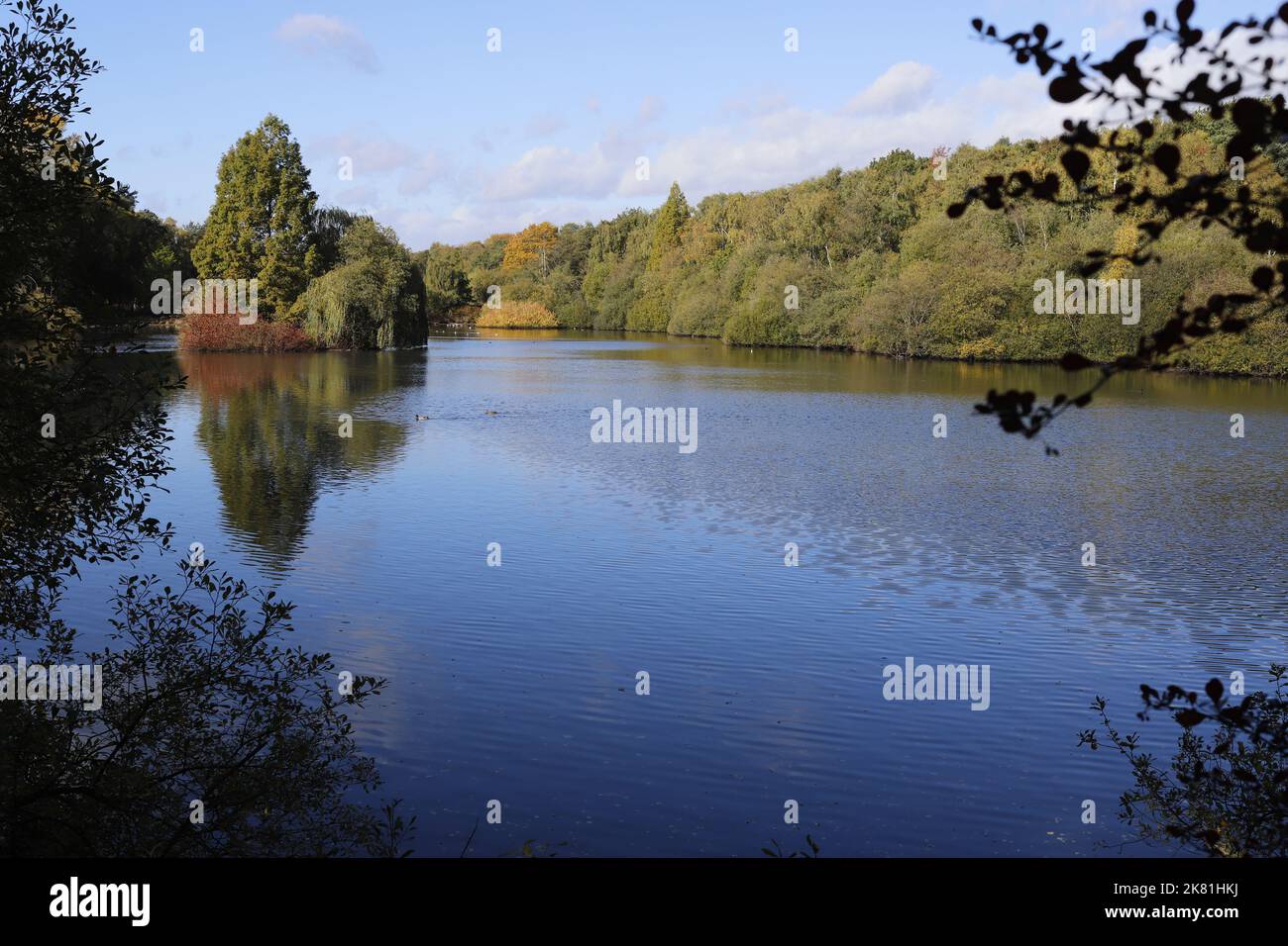 Autumn in Golden Acre Park, Leeds, Yorkshire. UK Stock Photo - Alamy