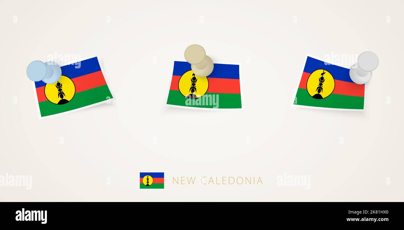Pinned flag of New Caledonia in different shapes with twisted corners. Vector pushpins top view ...