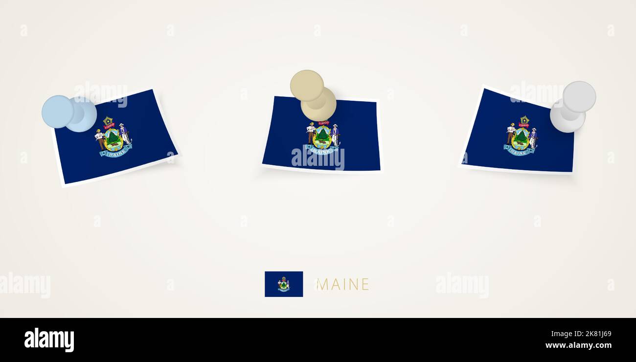 Pinned flag of Maine in different shapes with twisted corners. Vector ...