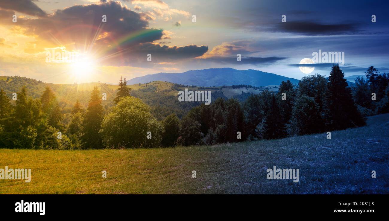 coniferous forest on the hill at daybreak. day and night time change ...