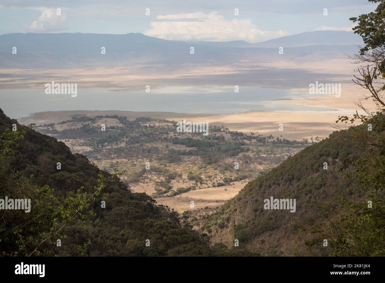 Parc du ngorongoro hi-res stock photography and images - Alamy
