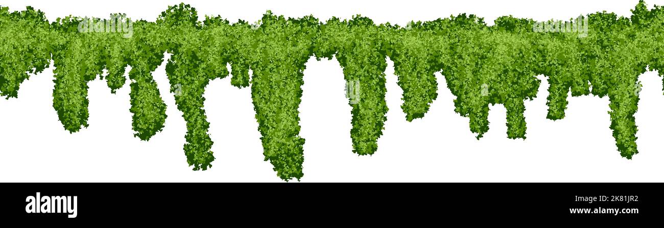 Horizontal seamless swamp moss pattern on white background Stock Vector ...