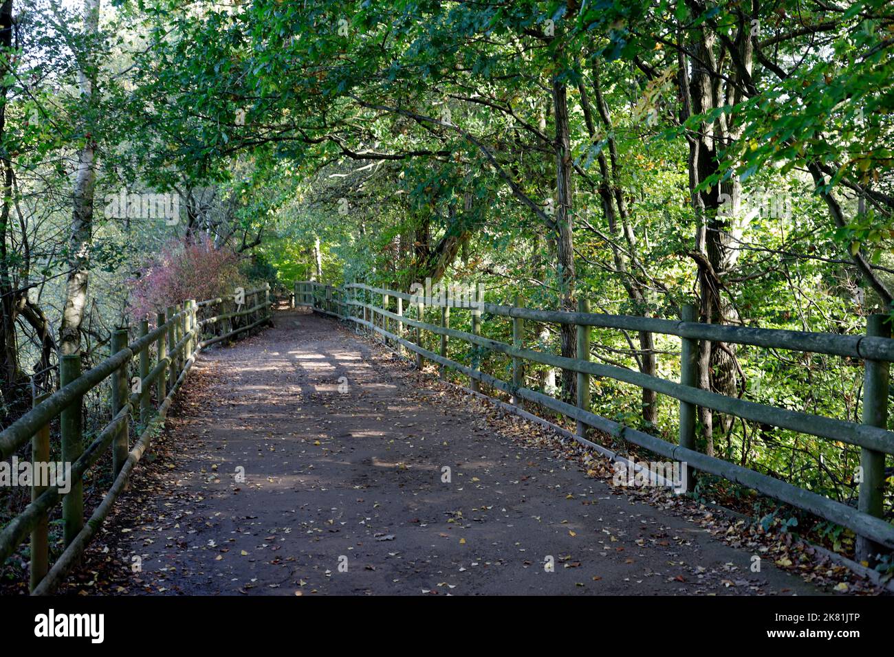 Autumn at Golden Acre Park, Leeds, Yorkshire. UK Stock Photo - Alamy