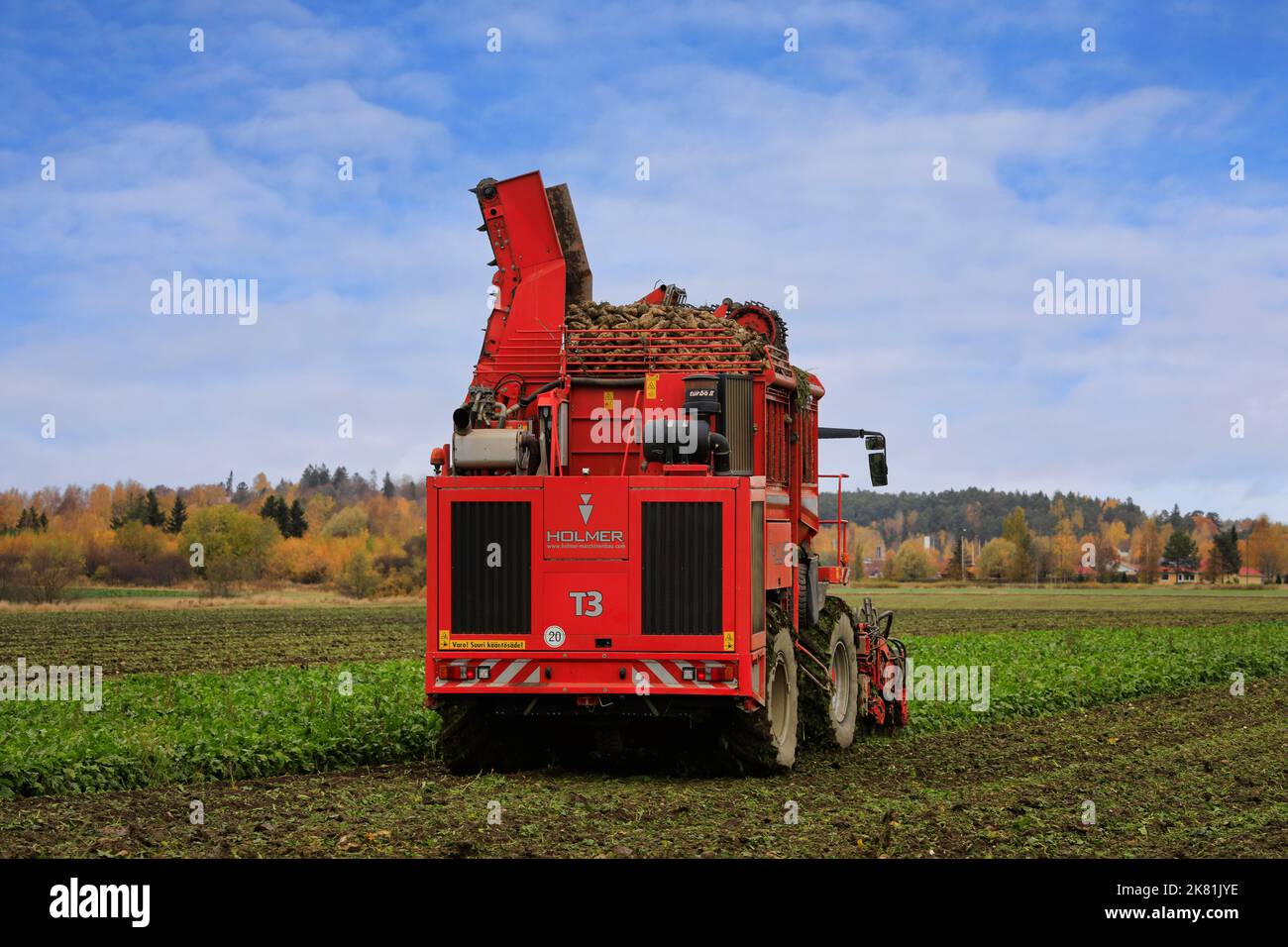 Harvesting sugar beet with Holmer Terra Dos T3 6-row beet harvester on ...