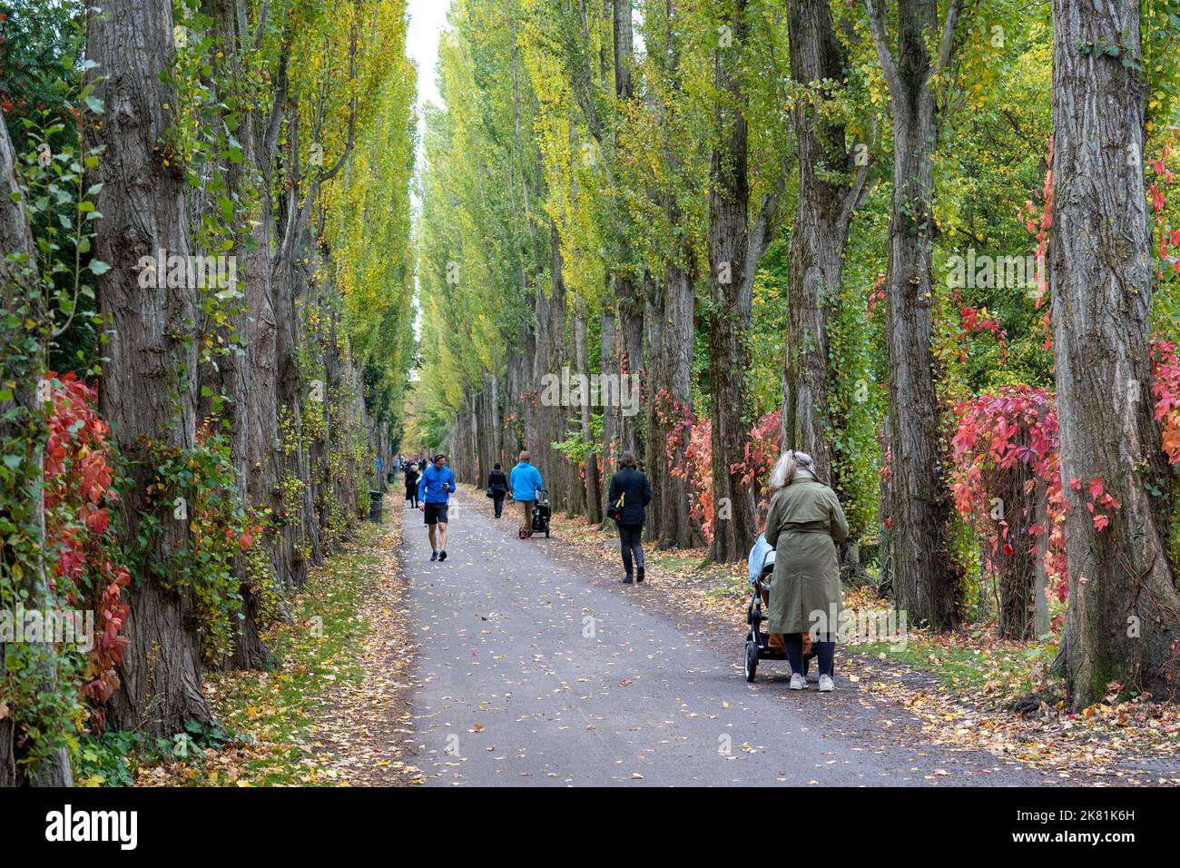 Assistens Cemetery in Copenhagen, Denmark Stock Photo - Alamy