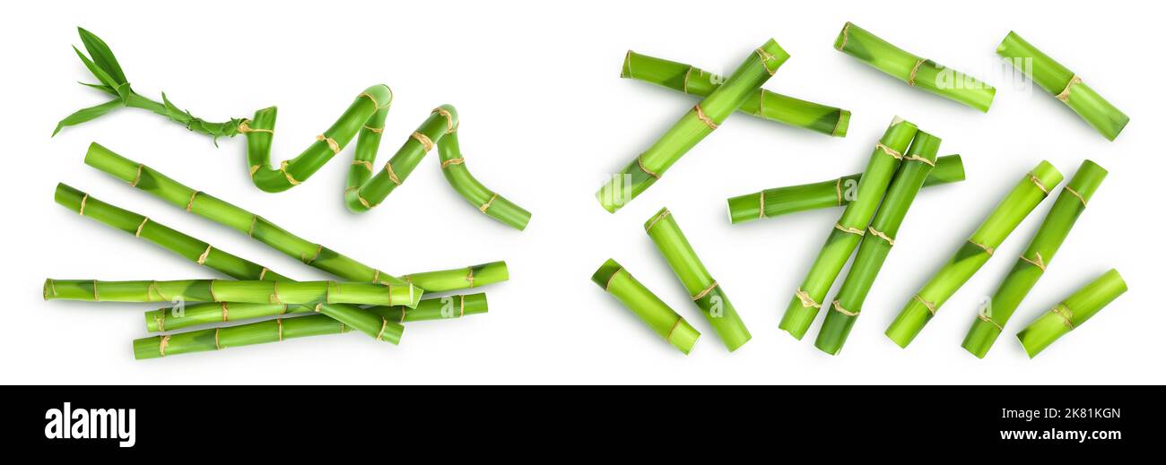 Green bamboo isolated on white background and full depth of field. Top ...