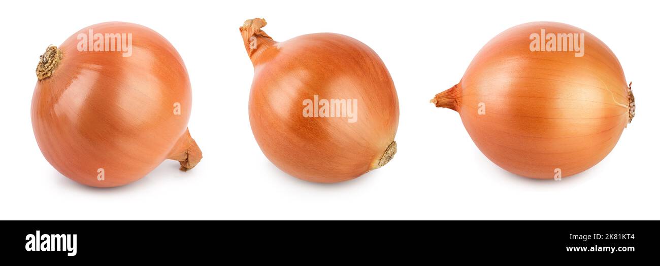 yellow onion isolated on white background close up. Set or collection ...