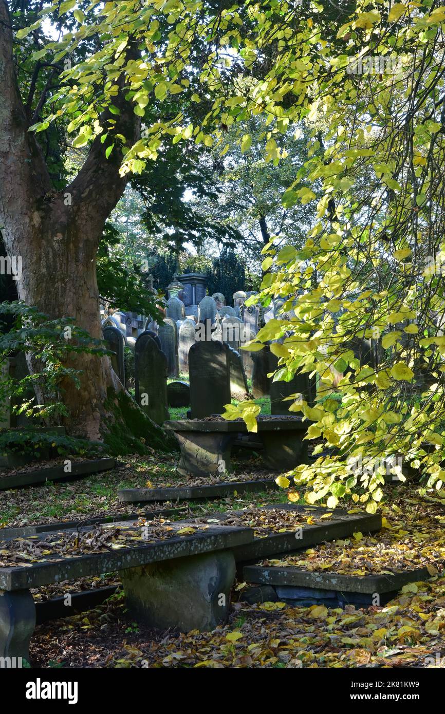 Autumn colours, in sunshine, Haworth Parsonage graveyard, West ...