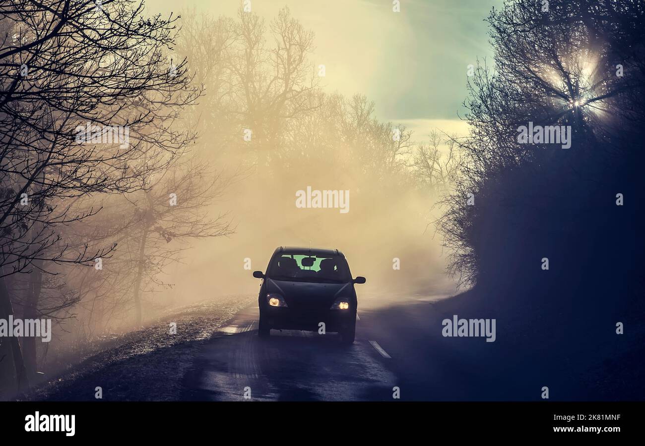 Car driving on forest road in sun beams Stock Photo - Alamy