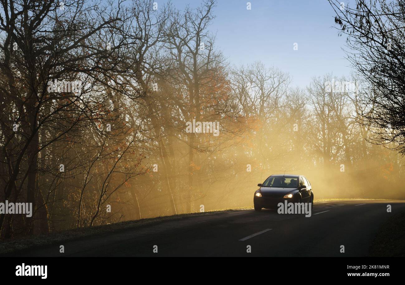Car driving on forest road in sun beams Stock Photo - Alamy