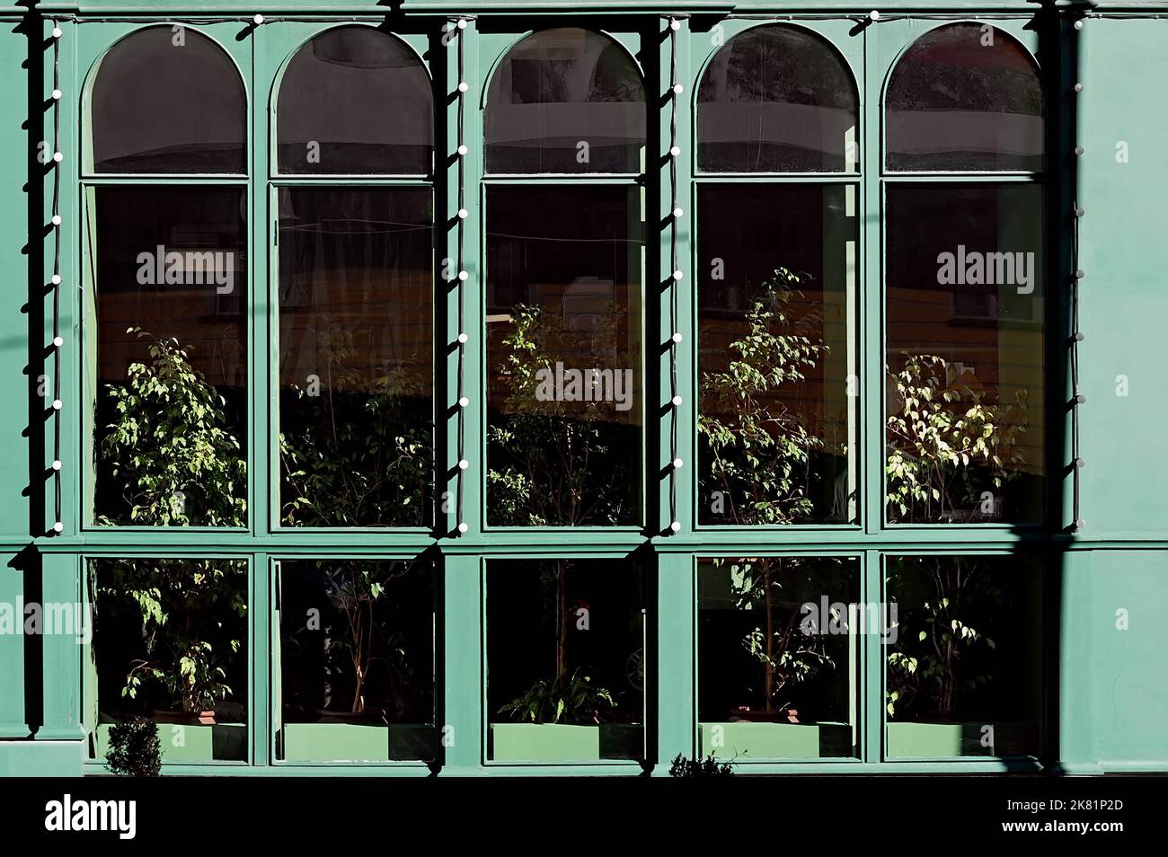 Green window with plants behind Stock Photo - Alamy