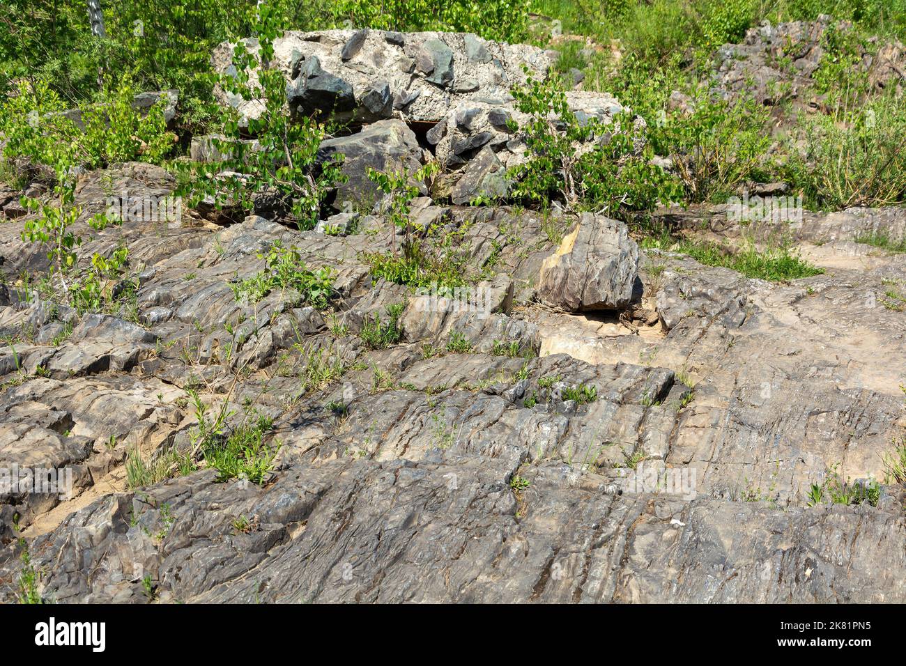 The rocky shore of the taiga river Suenga in the Novosibirsk region ...