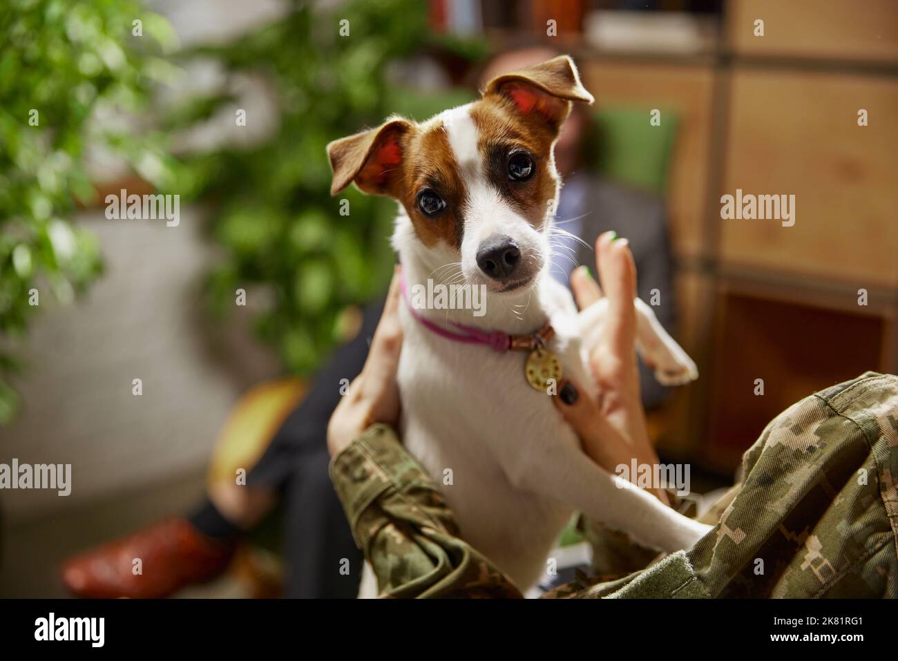 Professional male psychologist talking little hi-res stock photography ...