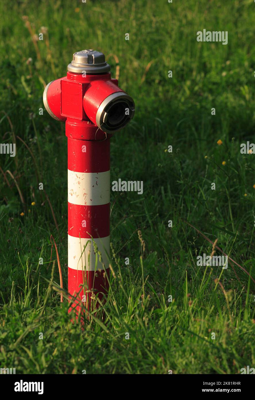Red fire hydrant in lawn outdoor Stock Photo - Alamy
