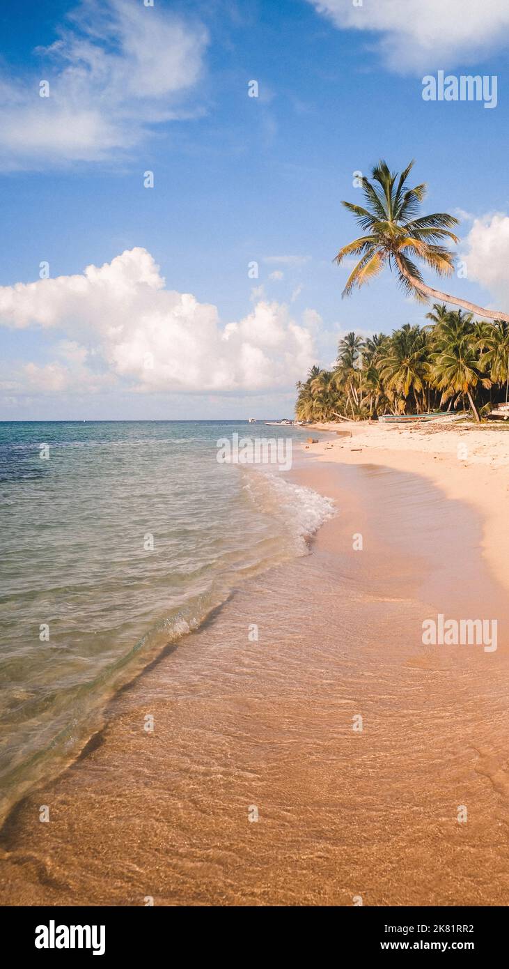 Palm Trees at Crystal Clear Beach Stock Photo - Alamy