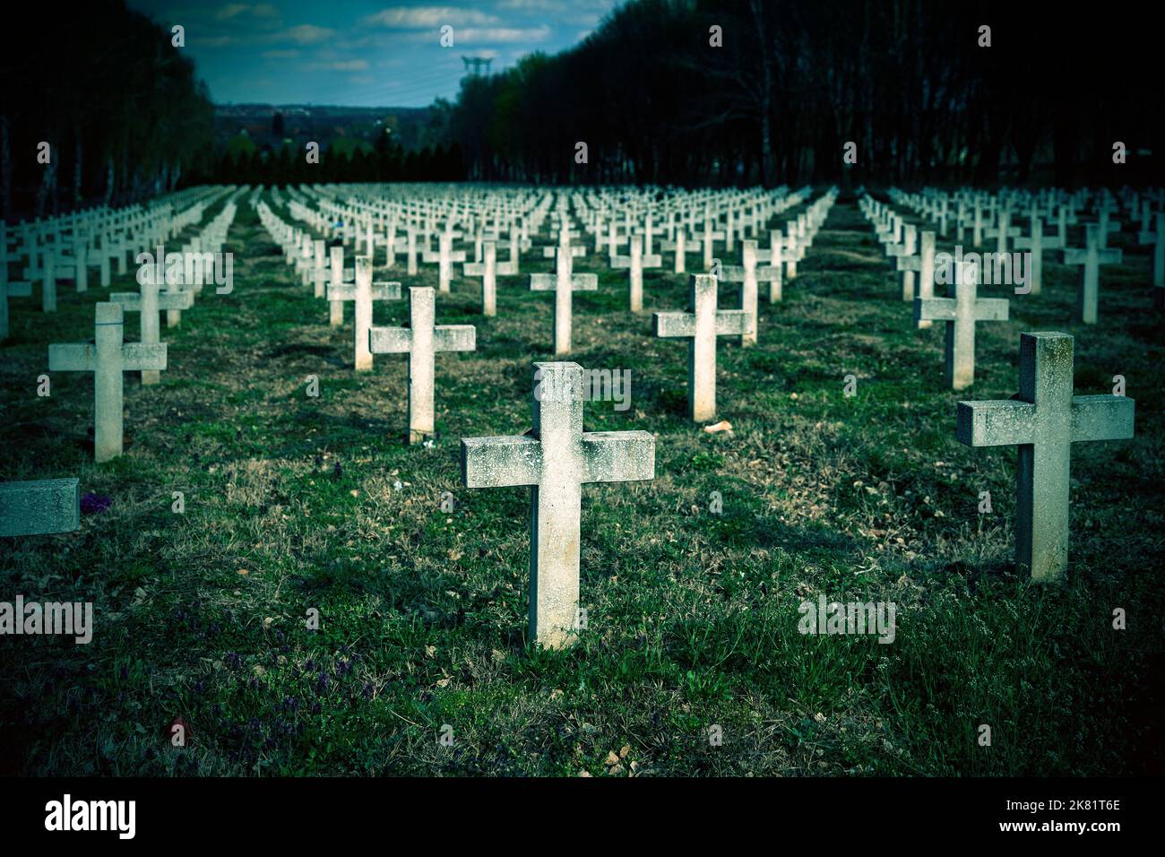 Many gravestone in cemetery at twilight Stock Photo - Alamy