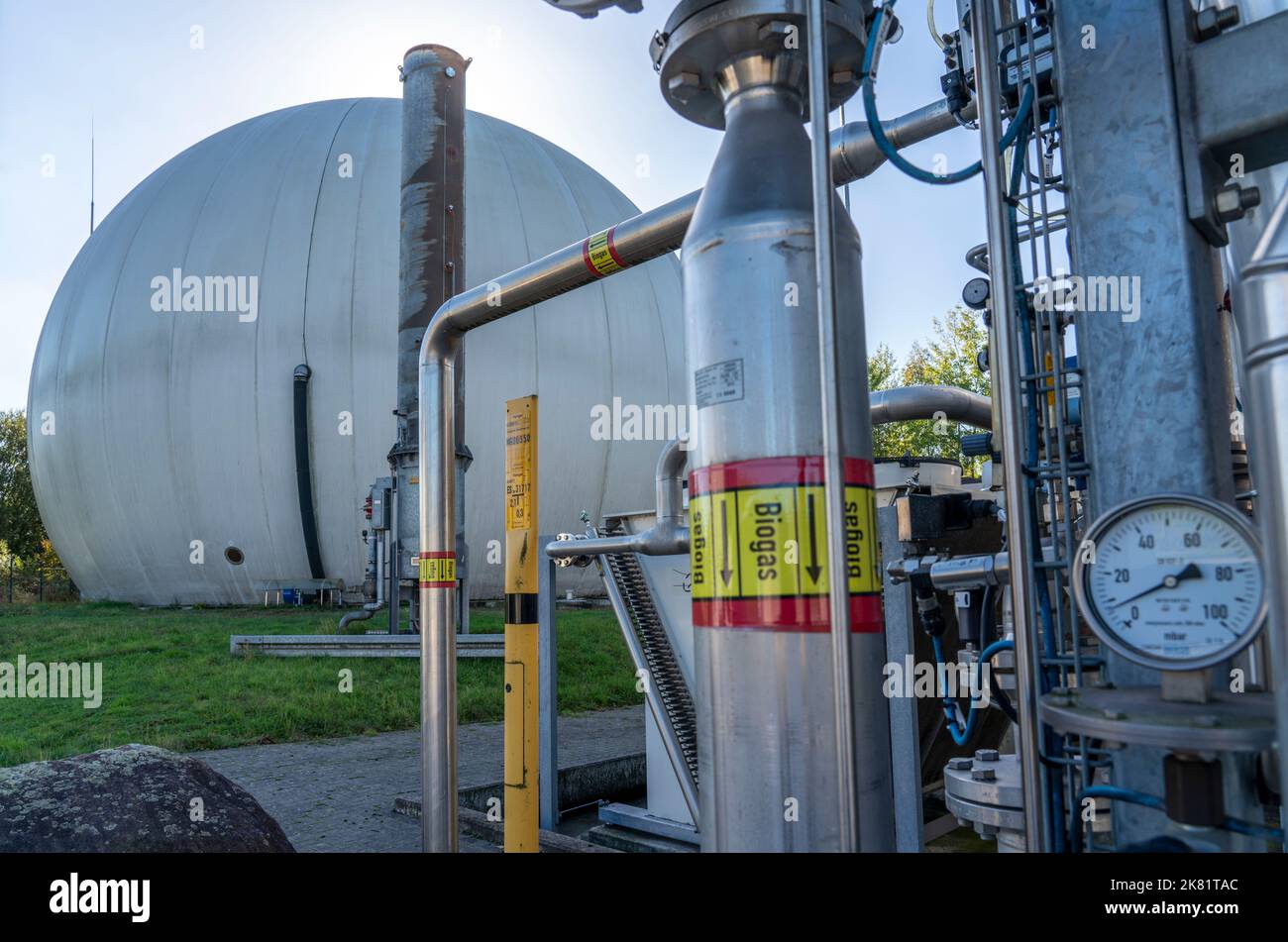 Biogas upgrading plant, purification of biogas from biowaste, green ...