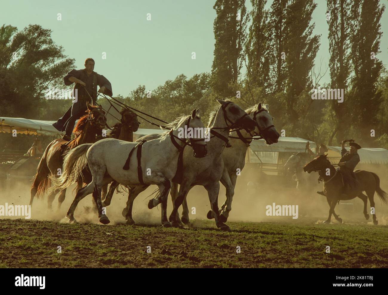 Hungarian horseman ride five horses. He wears the traditional Hungarian ...