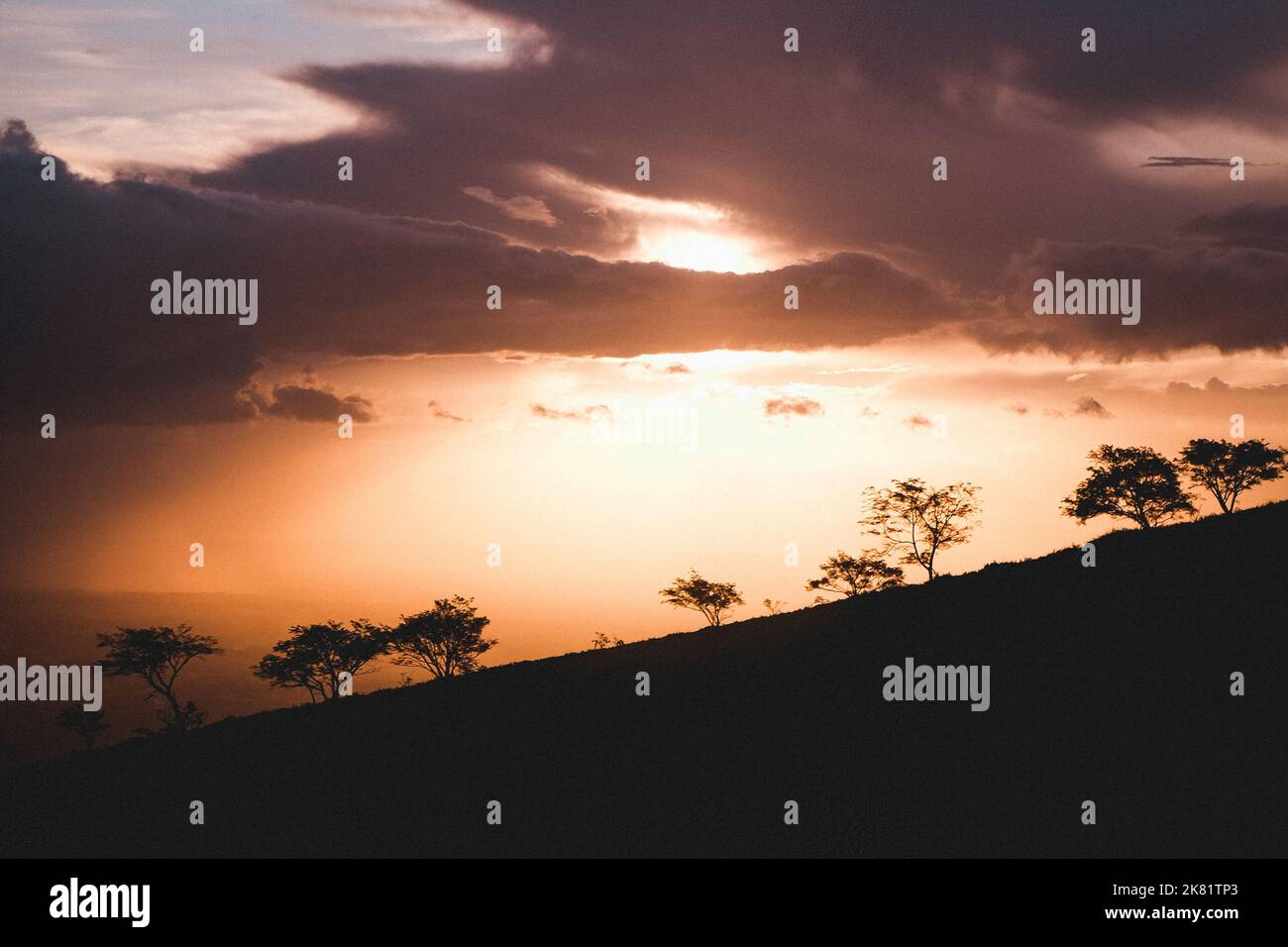 Tree Silhouette at Volcano during Sunset Stock Photo - Alamy