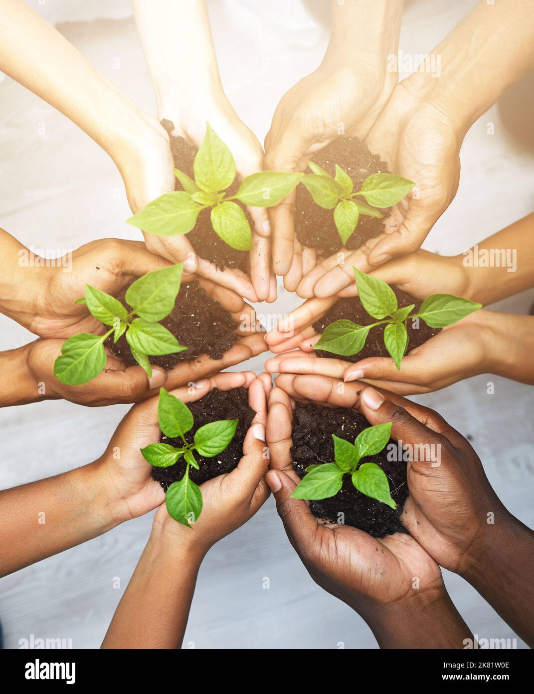 Growth is a slow process. a group of unrecognizable people holding ...