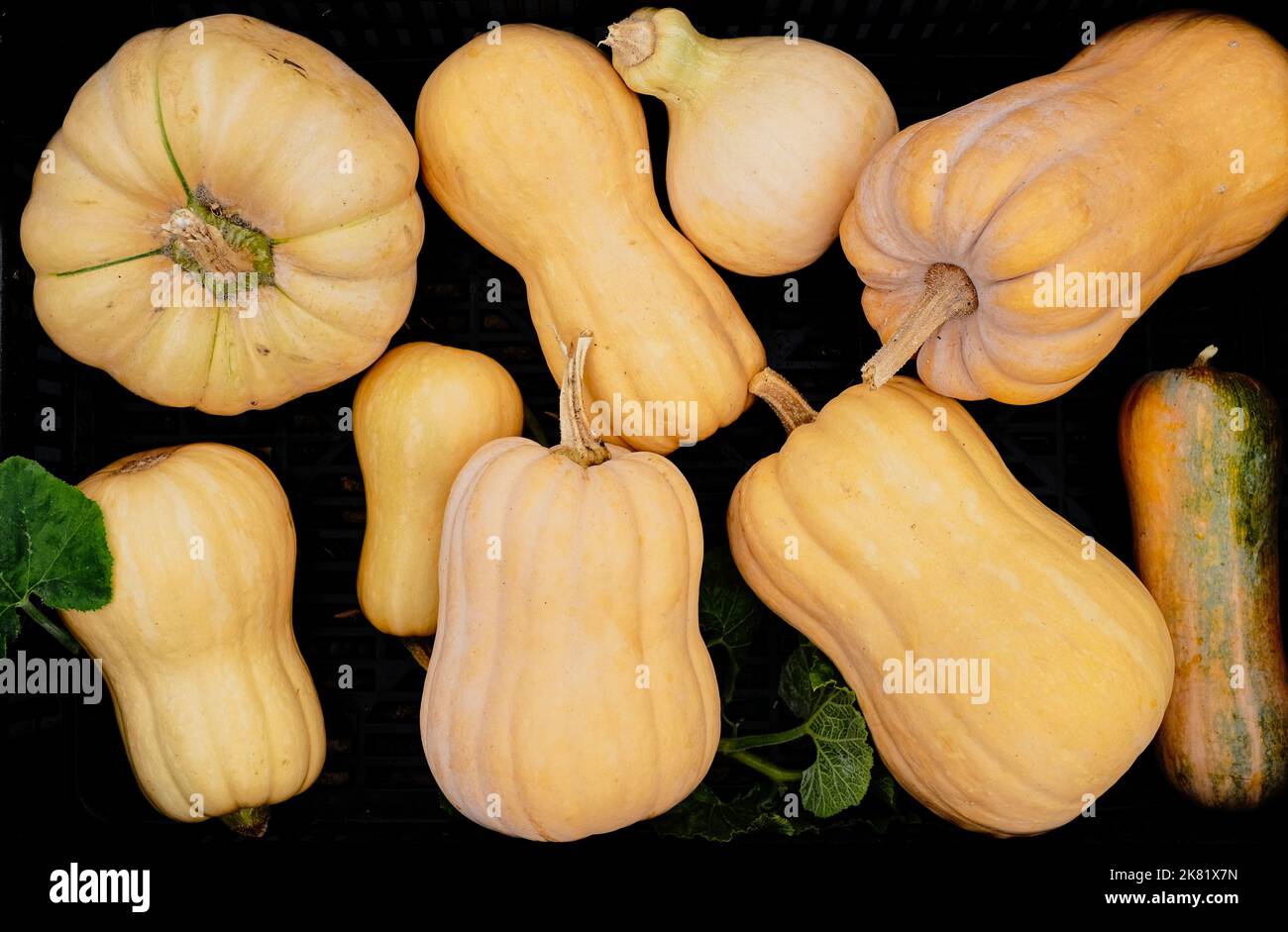 Colout image hi-res stock photography and images - Alamy