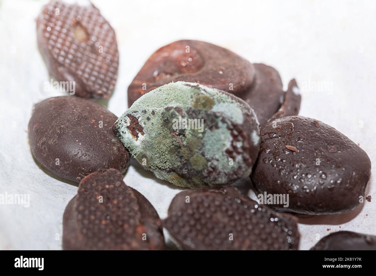 Mold mouldy bacterium poisonous hi-res stock photography and images - Alamy