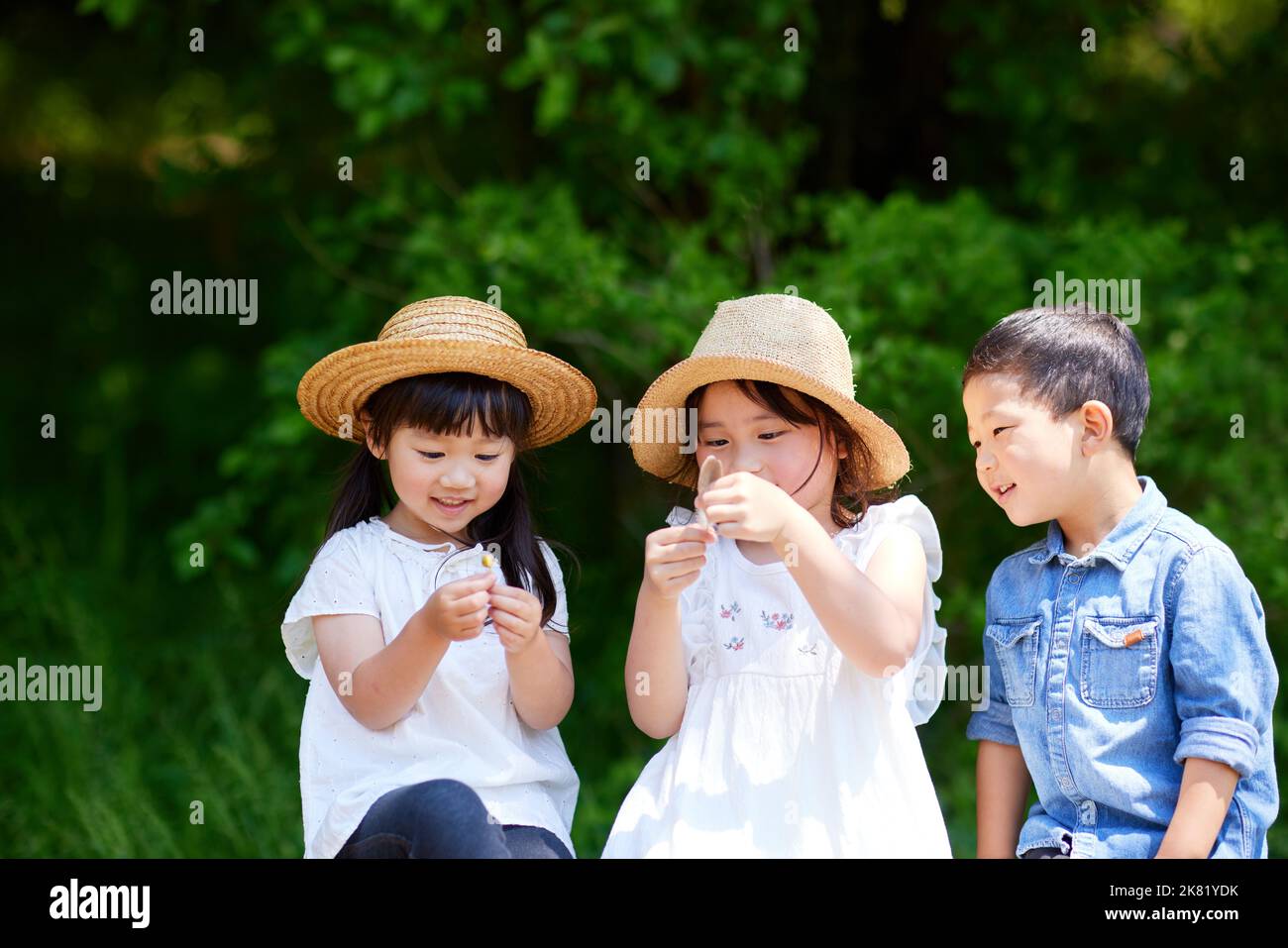 Japanese kids in a city park Stock Photo - Alamy