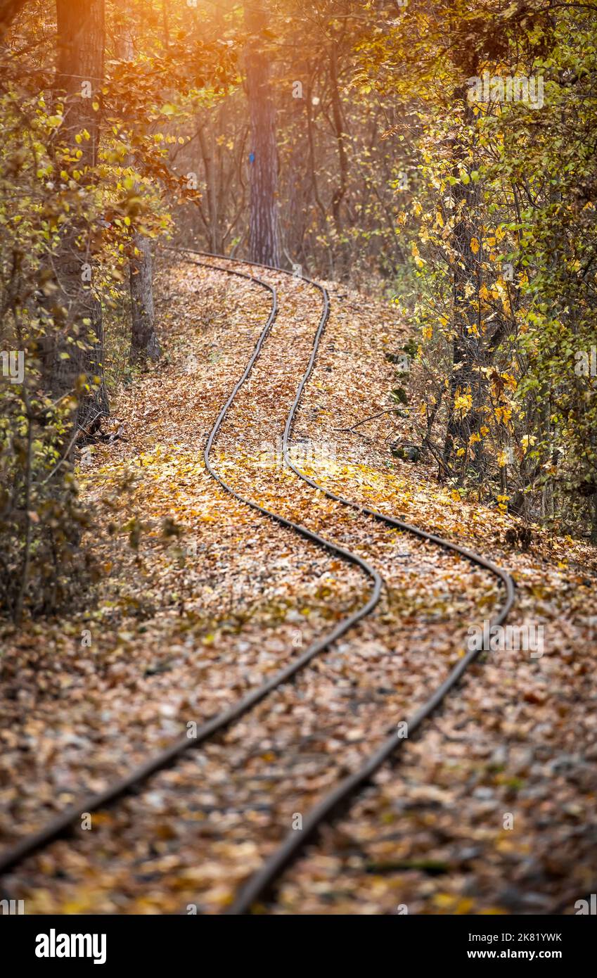 Fallen tree train hi-res stock photography and images - Alamy