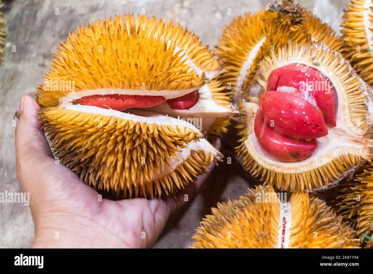 Durio graveolens, a native durian from Borneo Stock Photo - Alamy