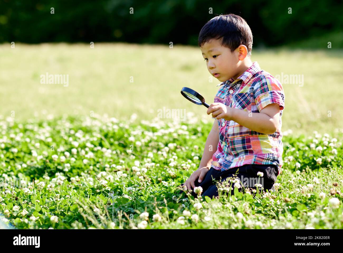 Japanese kid at a city park Stock Photo - Alamy