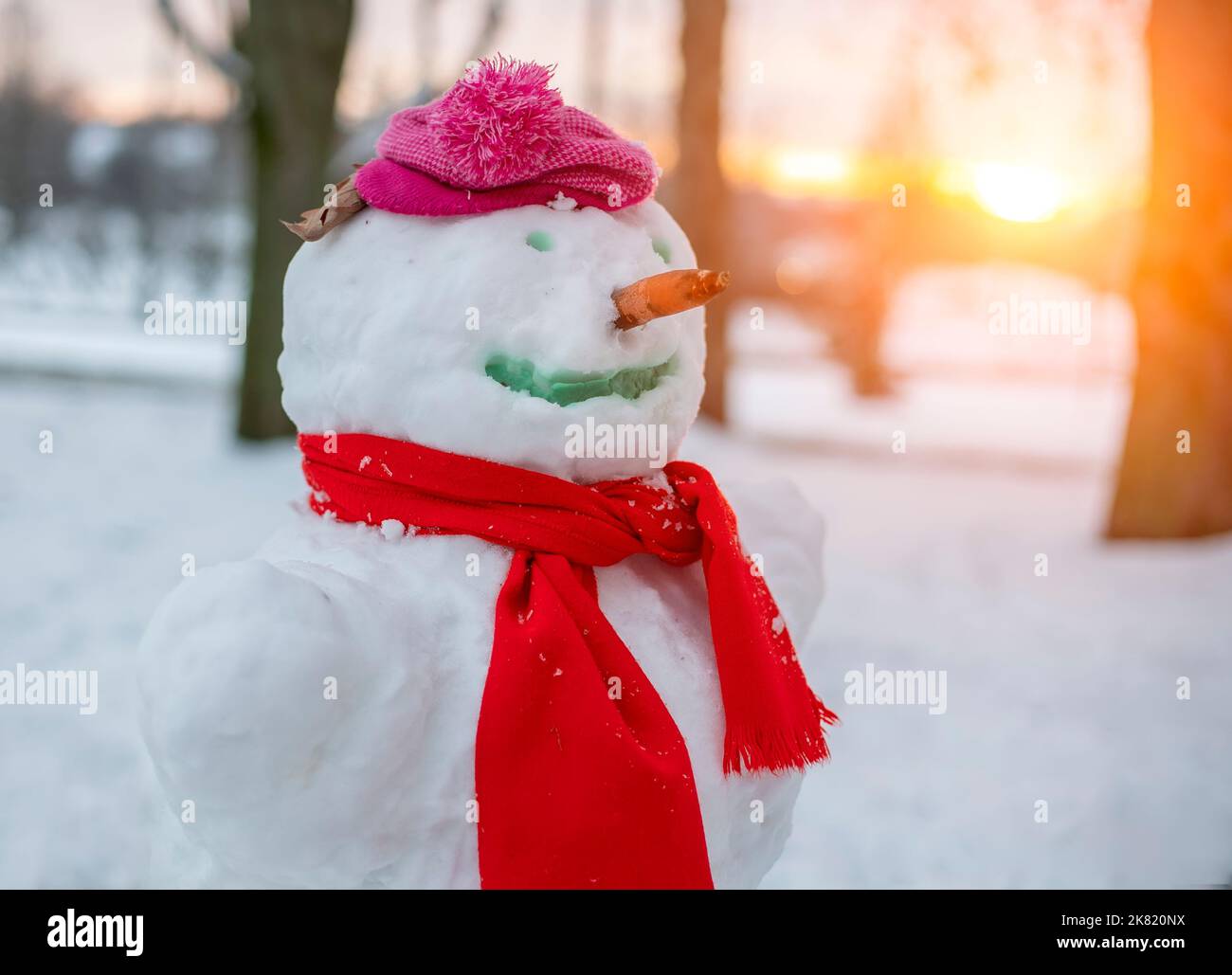 Snowman scarf cap forest hi-res stock photography and images - Alamy