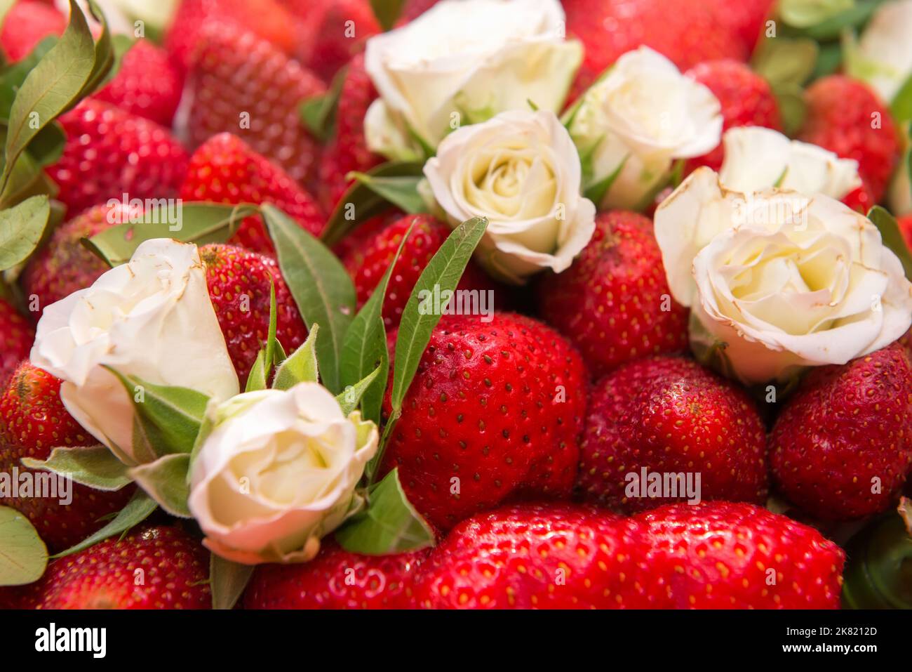 A lot of strawberries and roses - a favorite for a beloved woman Stock ...