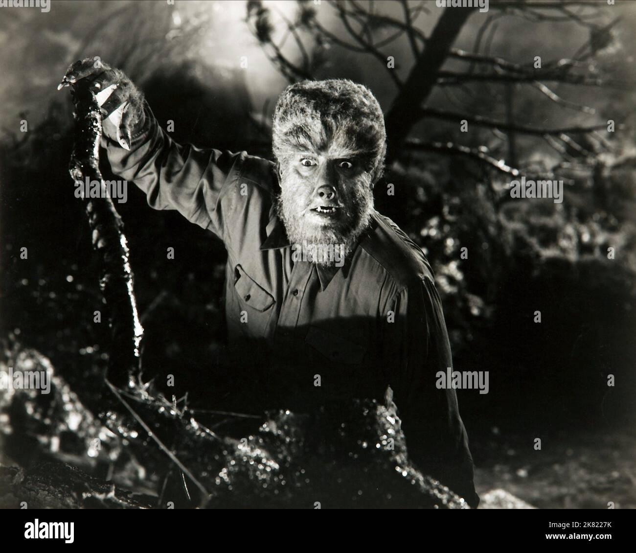 Lon Chaney Jr. Film: Frankenstein Meets The Wolf Man (USA 1943 ...