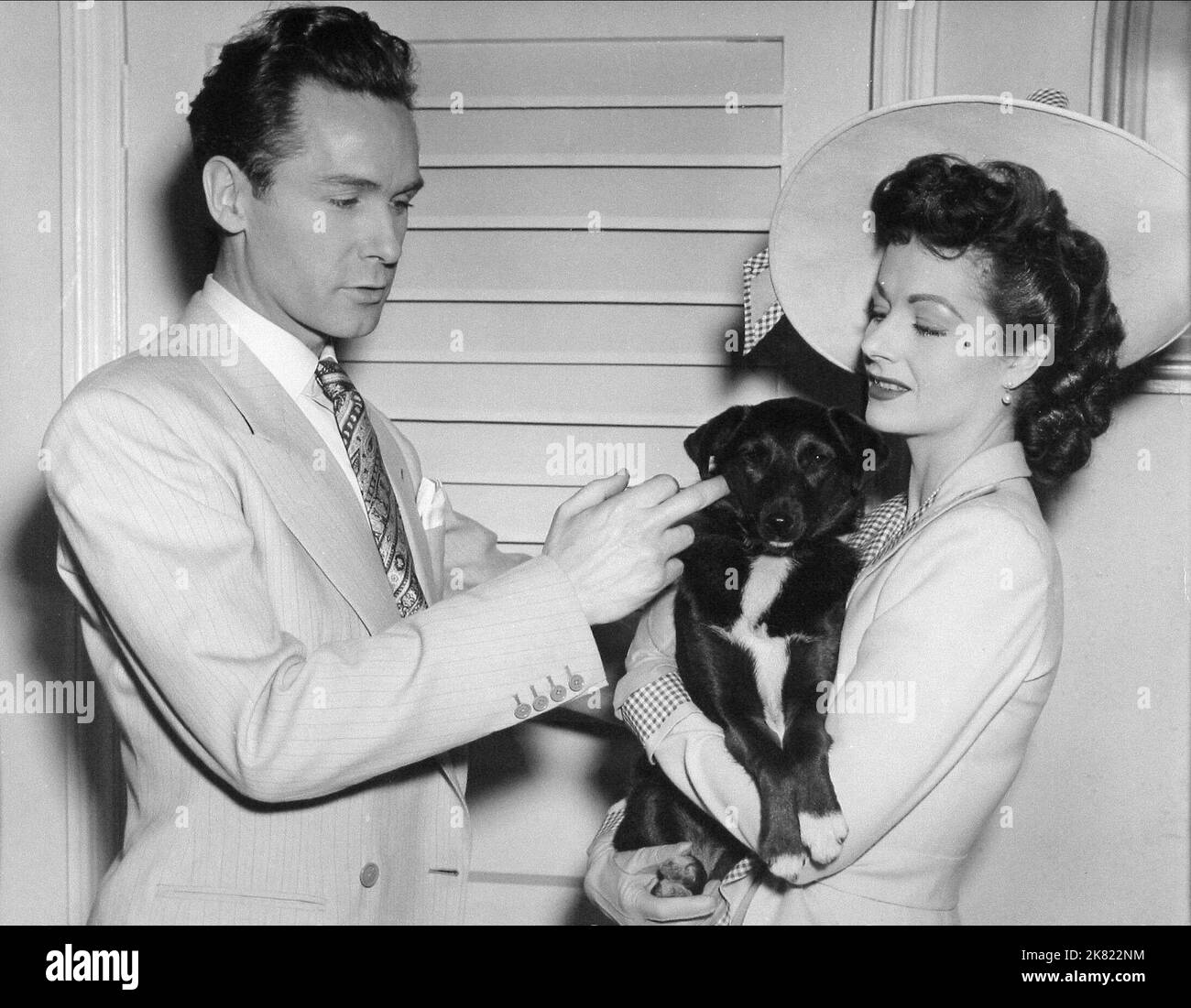 Ann markham hi-res stock photography and images - Alamy