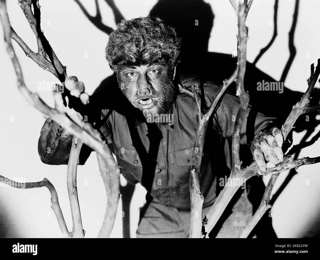 Lon Chaney Jr. Film The Wolf Man (1941) Characters: The Wolf Man ...