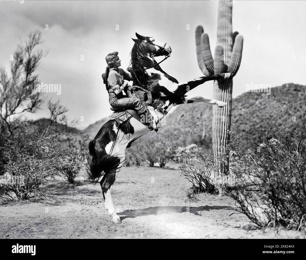 Jean Arthur Film: Arizona (USA 1940) Characters: Phoebe Titus Director ...