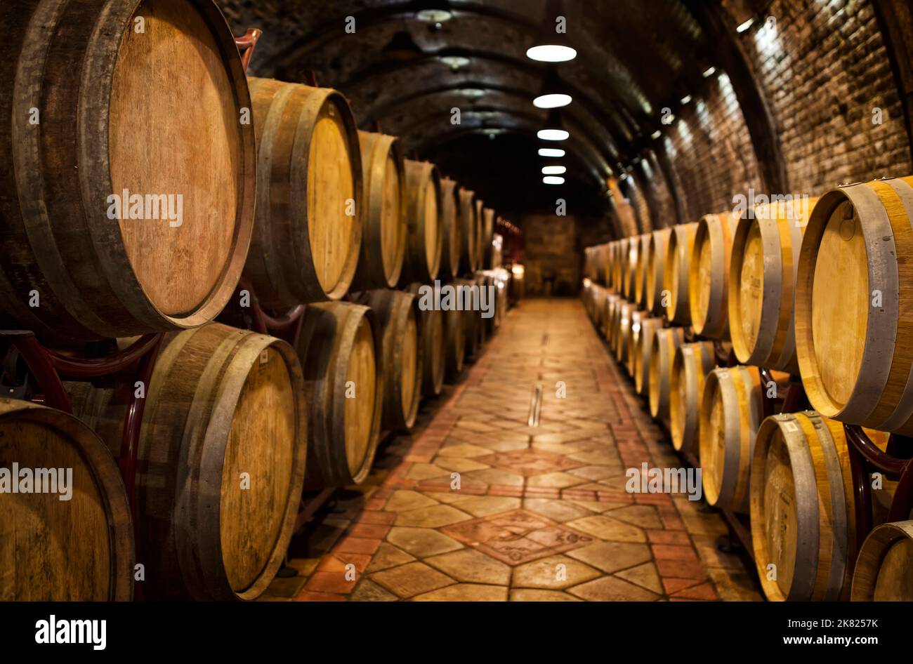 Wine barrels in wine-vaults in order Stock Photo - Alamy
