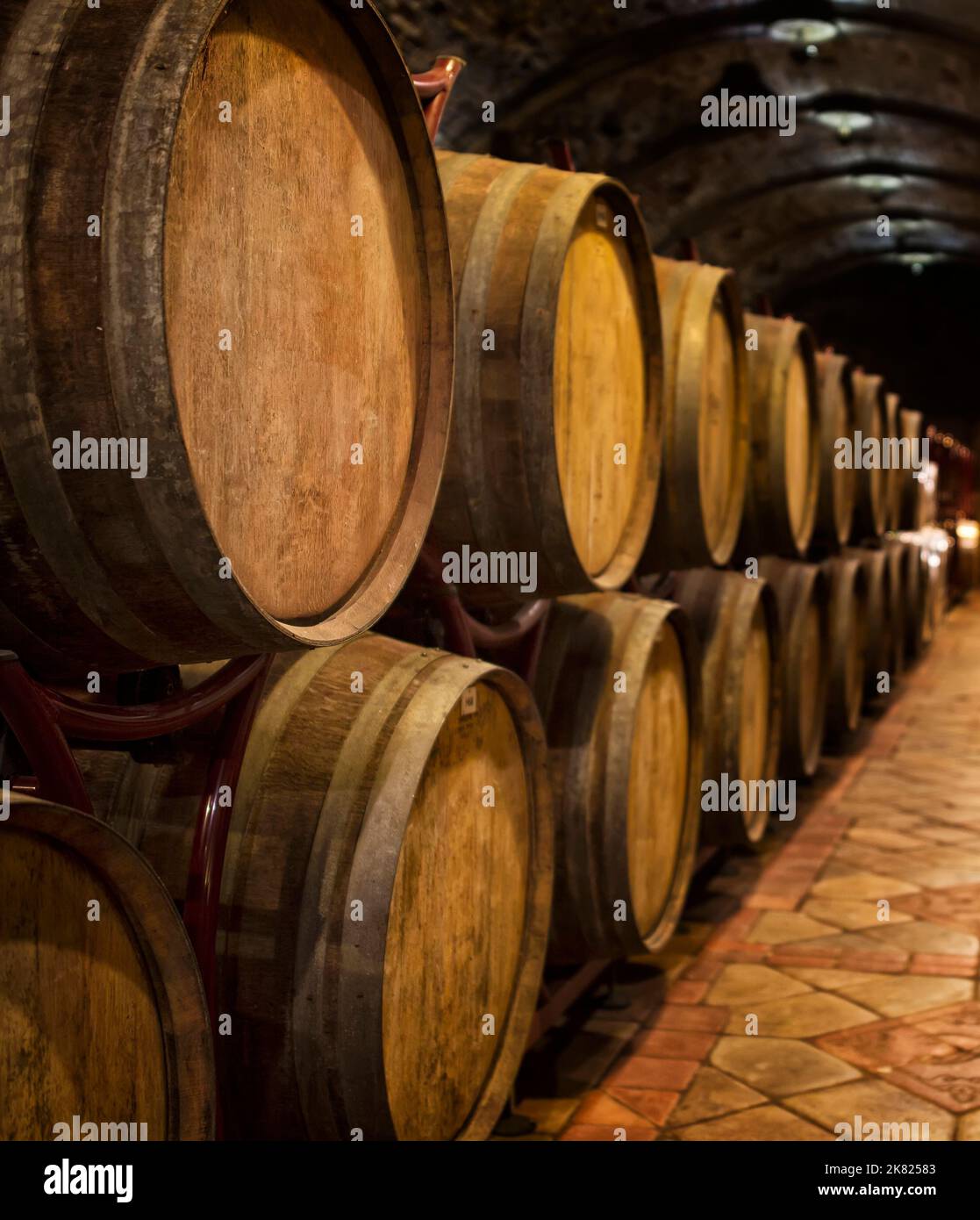 Wine barrels in wine-vaults in order Stock Photo - Alamy