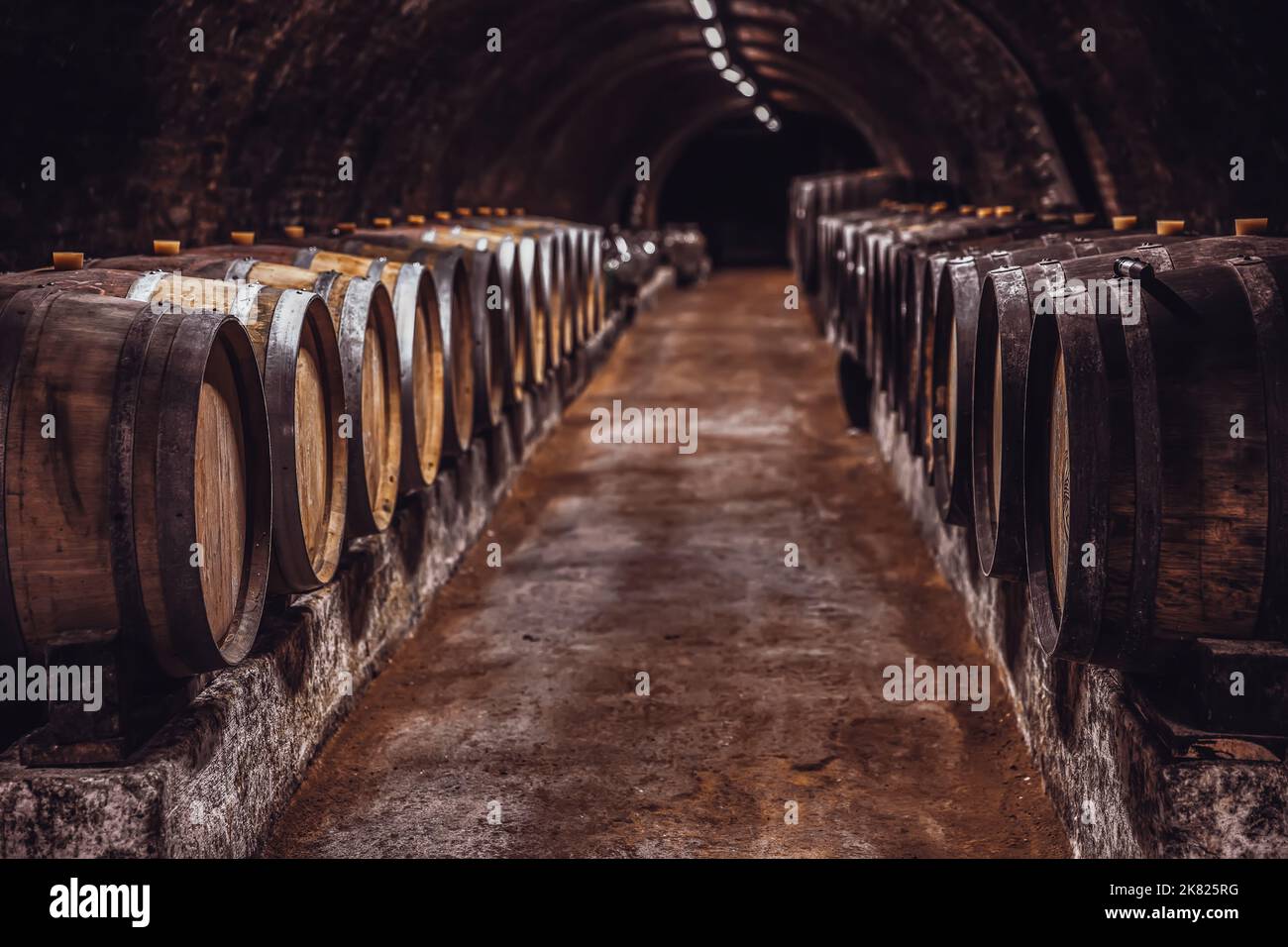 Wine barrels in wine-vaults in order Stock Photo - Alamy