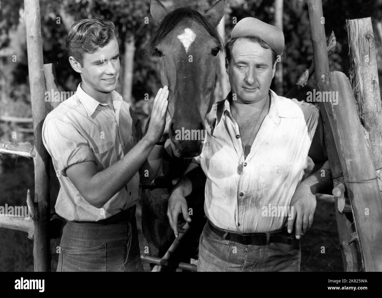 Marshall thompson hi-res stock photography and images - Alamy