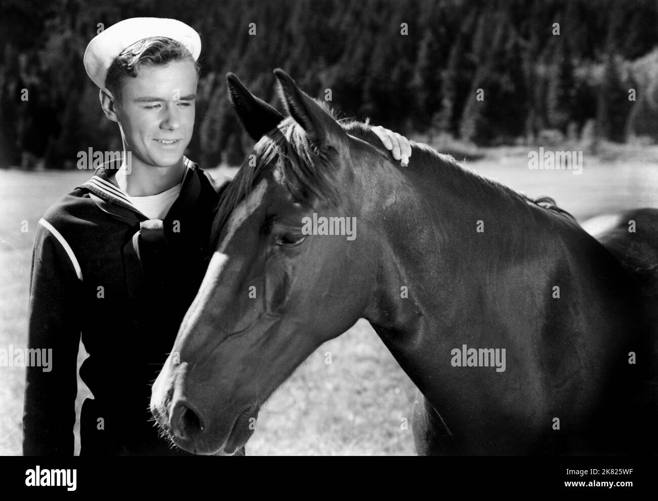 Marshall Thompson Film Gallant Bess (1947) Characters: Tex Barton ...