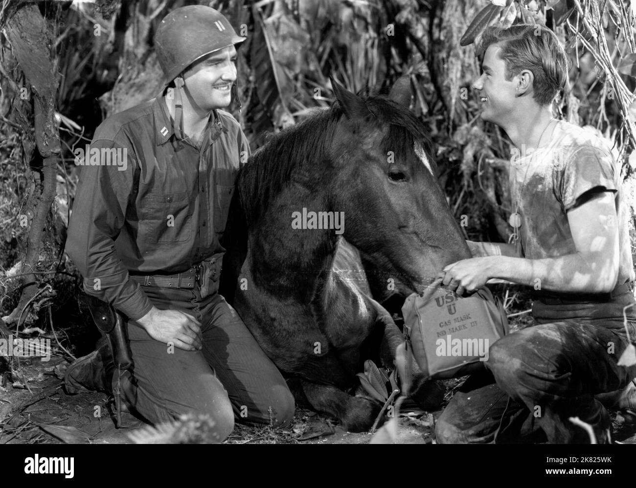 Marshall Thompson Film Gallant Bess (1946) Characters: Tex Barton ...
