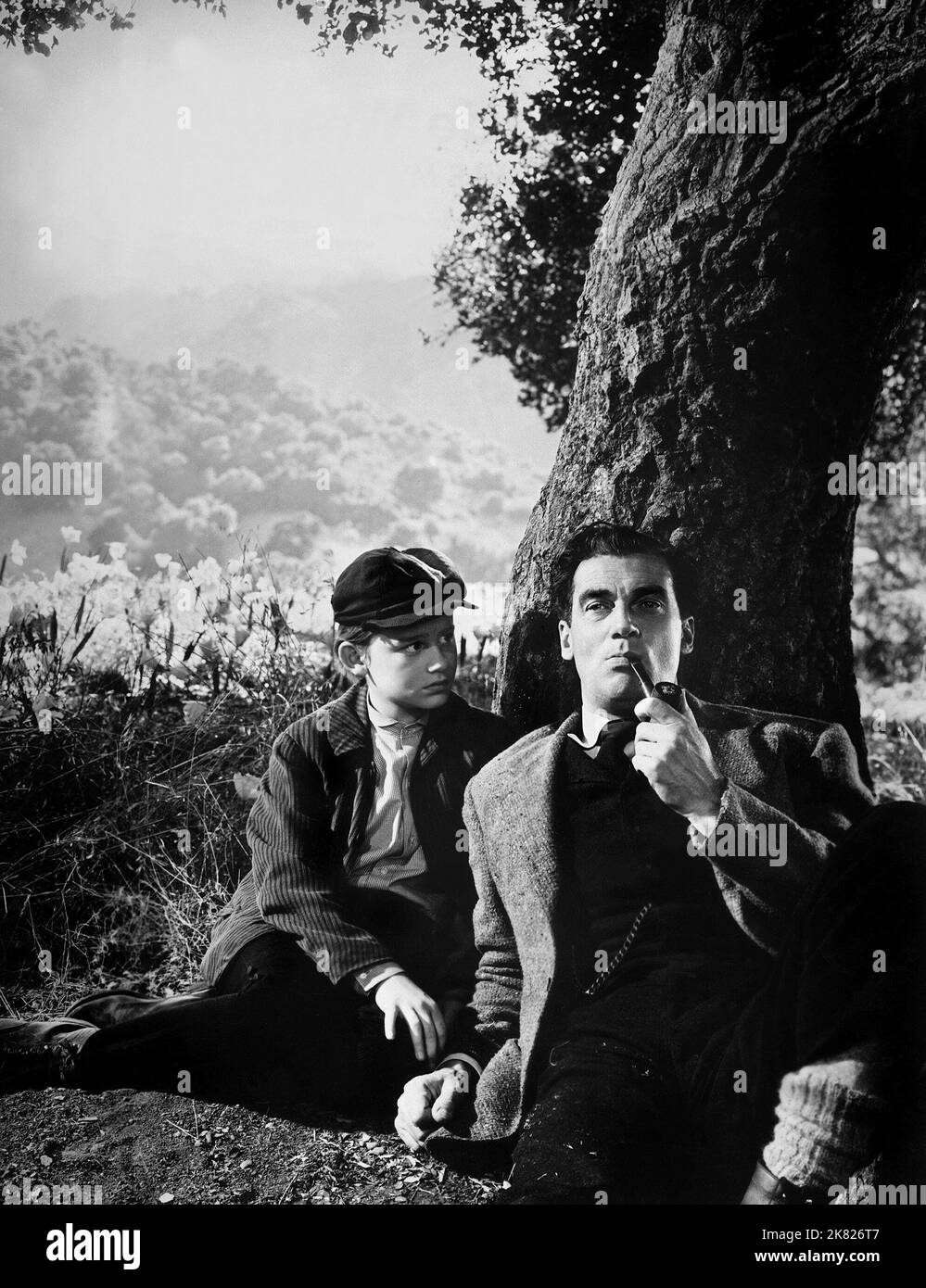 Roddy Mcdowall &, Walter Pidgeon Film: How Green Was My Valley (USA ...