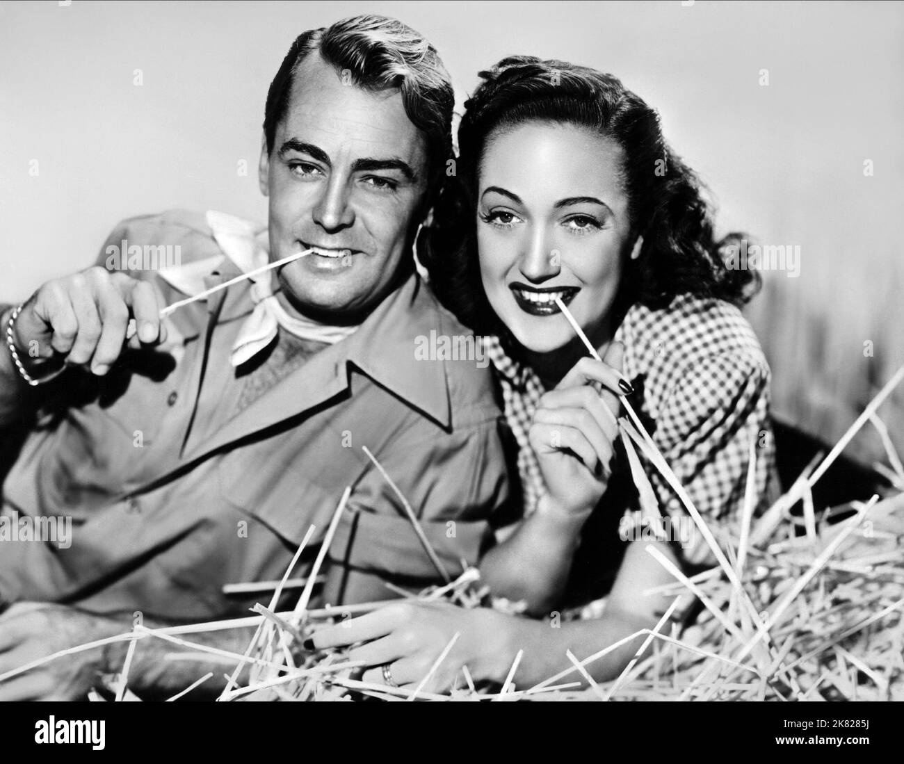 Alan Ladd & Dorothy Lamour Film Wild Harvest (1941) Characters: Joe ...