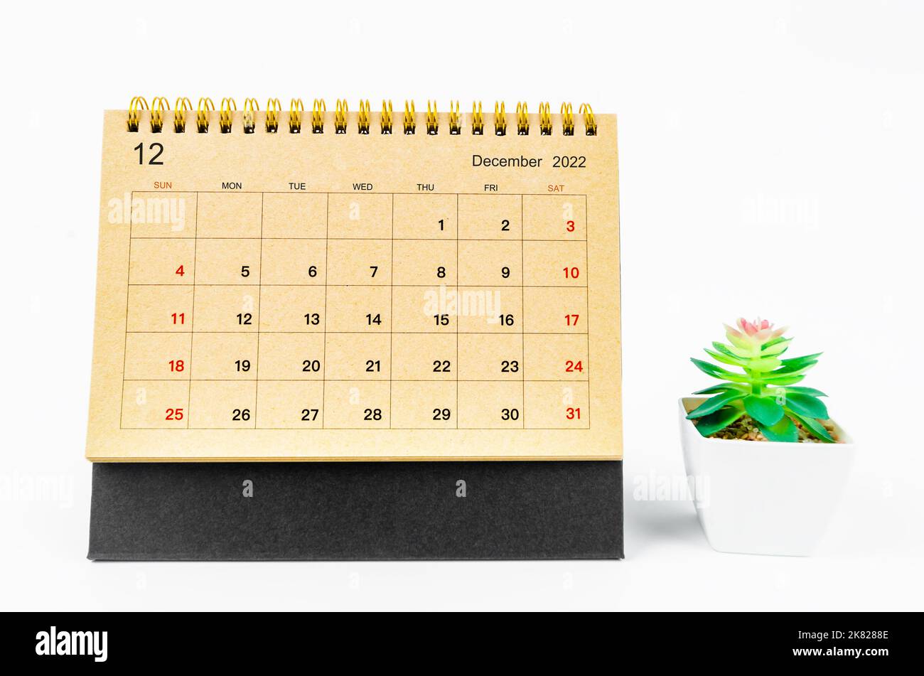 December 2022 Monthly desk calendar for 2022 year with plant pot ...